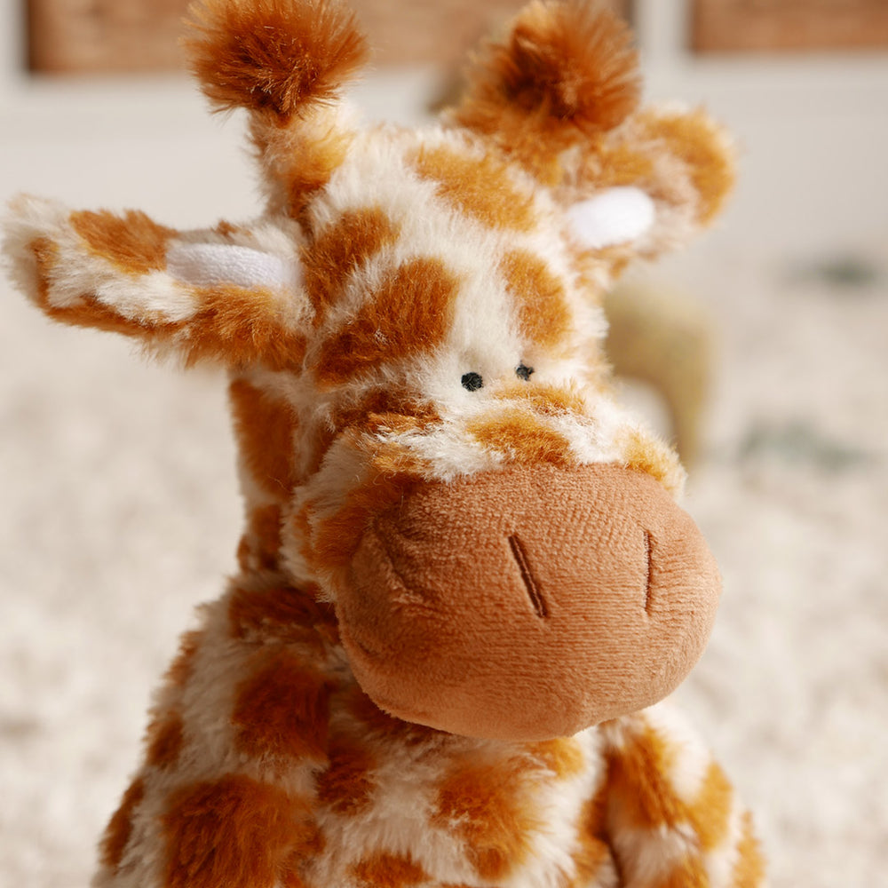 Soft Toys